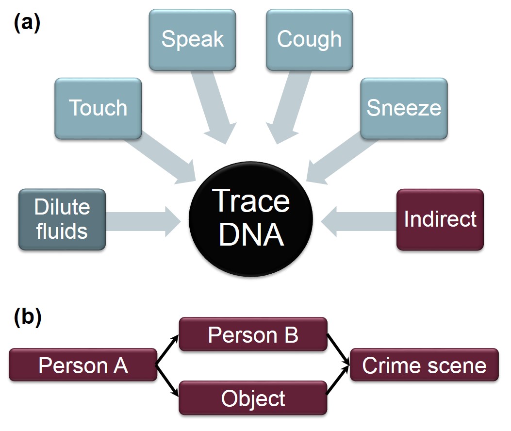 Touch dna Loevy Loevy Touch dna Loevy Loevy